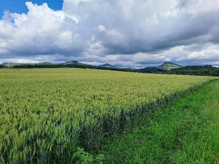 Fotogalerie :: Hrad Kalich